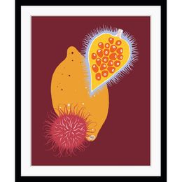 queence Bild &raquo;June&laquo; Kunst Lebensmittel Obst Obst Bilder HD Premium Poster-Druck inkl. Holzrahmen Farbe Rahmen: schwarz + Farbe Bild(er):...
