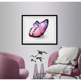 queence Bild »Alex« Insekten Kunst Schmetterlinge 1 Stk. tlg. HD Premium Poster-Druck inkl. Holzrahmen Farbe Rahmen: schwarz + Farbe Bild(er):...