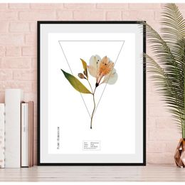 queence Bild &raquo;Alstroemeriaceae&laquo; 1 Stk. tlg. Farbe Rahmen: schwarz + Farbe Bild(er): orange
