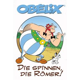 LUCKYLINDE Leinwandbild »Die Spinnen, die Römer« Cartoon Comic Fantasy Figuren Film Filmfiguren 1 Stk. tlg. Canvasbild Wanddeko Bild zum...