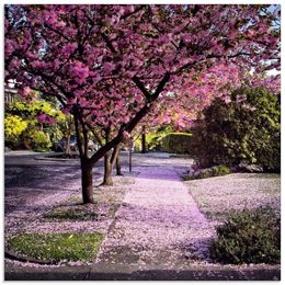 Artland Glasbild »Fallende Blütenblätter« Bäume 1 Stk. tlg. in verschiedenen Größen Farbe Bild(er): pink