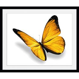 queence Bild »Maria 3.0« Insekten Kunst Schmetterlinge 1 Stk. tlg. HD Premium Poster-Druck inkl. Holzrahmen Farbe Rahmen: schwarz + Farbe...