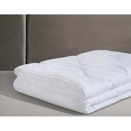 Jekatex Kunstfaserbettdecke »Hohenstein Bettdecke, 135x200 oder 155x220 cm, für Sommer oder Winter« leicht Füllung Polyester 1 Stk. tlg. mit...