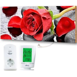 Marmony Infrarotheizung »MOTIV-Heizkörper "Red Roses" 830017, 800 Watt« Komplett-Set, aus deutschem Jura-Naturstein Naturstein oder Marmor 0
