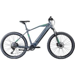 Z&uuml;ndapp Z&Uuml;NDAPP &raquo;Z808&laquo; 10 Gang Kettenschaltung Heckmotor 250 W Pedelec, Elektrofahrrad f&uuml;r Damen u. Herren, MTB grau, gr&uuml;n+schwarz