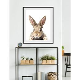 queence Bild »Joona« Foto Hase Hasen Haustiere Kunst 1 Stk. tlg. HD Premium Poster-Druck inkl. Holzrahmen Farbe Rahmen: schwarz + Farbe...