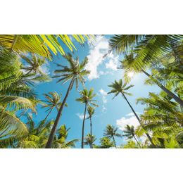 Komar Vliestapete &raquo;Digitaldruck Vlies - Coconut Heaven - Gr&ouml;&szlig;e 450 x 280 cm&laquo; bedruckt glatt Wohnzimmer, Schlafzimmer bunt Vlies