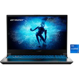 Medion Gaming-Notebook »ERAZER Deputy P60i (MD62688)« 39, 6 cm / 15, 6 ′′ Intel Core i7 GeForce RTX 4060 1.000 GB SSD Schwarz