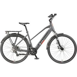 Telefunken Unisex &raquo;E-Trekking Expedition XT490 Damen&laquo; 8 Gang Shimano Altus Schaltwerk Kettenschaltung Heckmotor 250 W Pedelec, Elektrofahrrad, Damen, 