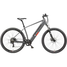Telefunken Unisex &raquo;E-MTB Aufsteiger M919&laquo; 7 Gang Shimano Tourney Schaltwerk Kettenschaltung Heckmotor 250 W Pedelec, Elektrofahrrad, Damen u. Herren, 