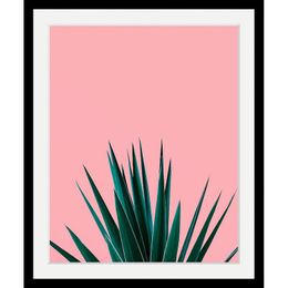 queence Bild &raquo;Palme&laquo; Foto Kunst Pflanzen Pflanzenbilder Stechpalme HD Premium Poster-Druck inkl. Holzrahmen bunt Acrylglas, Holz, Papier