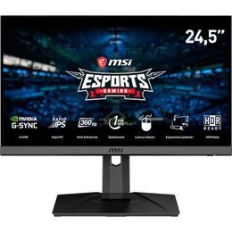 MSI Gaming-Monitor »Oculux NXG253R E-Sports« 62, 2 cm/24, 5 ′′ 1920 x 1080 px Full HD 1 Reaktionszeit 360 Hz NVIDIA G-Sync, 3 Jahre...