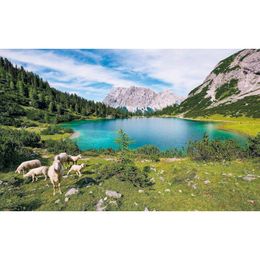 Komar Vliestapete »Digitaldruck Vlies - Paradise Lake - Größe 400 x 250 cm« bedruckt glatt Wohnzimmer, Schlafzimmer bunt B/L: 400 m m x 250 m m