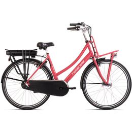 HOLLANDIA Herren &raquo;Carry On&laquo; 3 Gang Shimano Nexus Schaltwerk Nabenschaltung Frontmotor 250 W Pedelec, Elektrofahrrad f&uuml;r Damen u. Herren rot