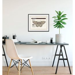 queence Bild »50c« Insekten Kunst Schmetterlinge 1 Stk. tlg. HD Premium Poster-Druck inkl. Holzrahmen Farbe Rahmen: schwarz + Farbe Bild(er):...