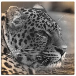 Artland Leinwandbild »Leopard Profil« Wildtiere 1 Stk. tlg. auf Keilrahmen gespannt Farbe Bild(er): grau