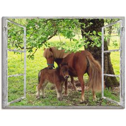 Artland Wandbild »Fensterblick - Pony mit Kind« Haustiere 1 Stk. tlg. als Leinwandbild, Poster, Wandaufkleber in verschied. Größen Farbe Bild(er):...