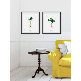 queence Bild »Calla palustrisa« Pflanzen Pflanzenbilder Schriftzug 1 Stk. tlg. HD Premium Poster-Druck inkl. Holzrahmen Farbe Rahmen: schwarz +...