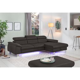 COTTA Ecksofa &raquo;Komaris L-Form, B: 244 cm&laquo; mit Kopfteilverstellung, optional Bettfunktion, Bettkasten & Licht braun Microfaser PRIMABELLE (100% 