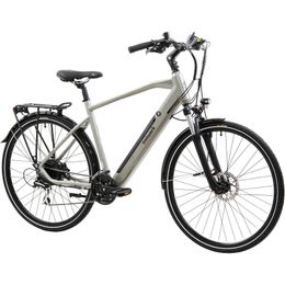 Tretwerk &raquo;Bronx 5.0&laquo; 24 Gang Shimano Altus M310 Schaltwerk Kettenschaltung Heckmotor 250 W Pedelec, Elektrofahrrad f&uuml;r Damen u. Herren aluminium grau