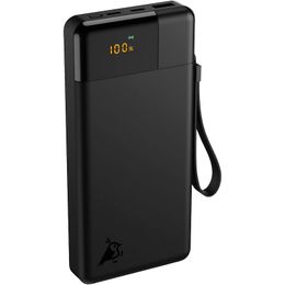 AQIILA Powerbank &raquo;Powerbird B20+&laquo; 20.000 mAh schwarz Plastikfreie Verpackung