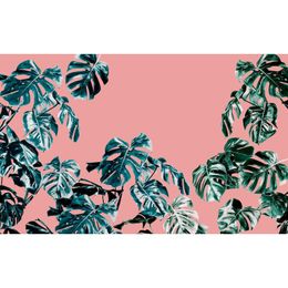Komar Vliestapete &raquo;Digitaldruck Vlies - Monstera Ros&eacute; - Gr&ouml;&szlig;e 400 x 250 cm&laquo; bedruckt glatt Wohnzimmer, Schlafzimmer rosa Vlies