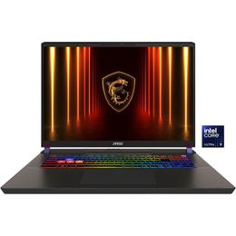 MSI Gaming-Notebook »Vector 17 HX AI A2XWHG-041« 43, 2 cm / 17 ′′ Intel Core Ultra 9 GeForceRTX5070 2.000 GB SSD cosmos-grau