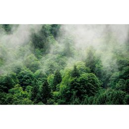 Komar Vliestapete »Digitaldruck Vlies - Forest Land - Größe 400 x 250 cm« bedruckt glatt Wohnzimmer, Schlafzimmer grün B/L: 400 m m x 250 m m