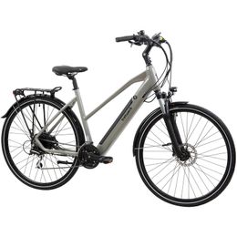 Tretwerk »Seville 5.0« 24 Gang Shimano Kettenschaltung Heckmotor 250 W Pedelec, Elektrofahrrad für Damen u. Herren grau
