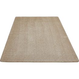 ANDIAMO Teppich »Parla« rechteckig 13 mm Höhe Kurzflor, weicher Velours, ideal im Wohnzimmer & Schlafzimmer beige Obermaterial: 100% Polypropylen B...