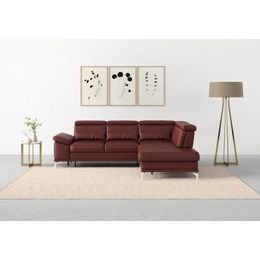 Sit & More SIT&MORE Ecksofa »Cabrio L-Form, B: 274 cm, mit Sitztiefen-, Arm- & Kopfteilverstellung« 3 Nierenkissen, Federkern, optional Bettfunktion und...