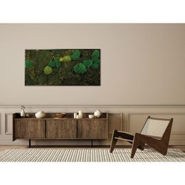 Bild mit Rahmen &raquo;Mixmoos&laquo; Natur 1 Stk. tlg. jedes Bild ein Unikat, BxH: 120x60 cm gr&uuml;n Holzwerkstoff