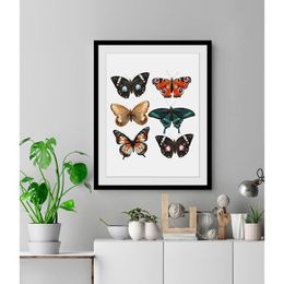 queence Bild »Jana« Insekten Kunst Schmetterlinge historische Ereignisse 1 Stk. tlg. HD Premium Poster-Druck inkl. Holzrahmen Farbe Rahmen:...