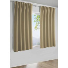 SEHLBACH Gardine »Schal Dimout Uni« Schlaufen 1 Stk. tlg. mit Gardinenband und verdeckten Schlaufen beige Obermaterial: 100% Polyester 175 cm