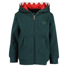 Blue Seven Sweatjacke »Sweatjacke mit Kapuze« 1 Stk. tlg. 745 - TANNE 128 128 Weiche Sweatjacke für Jungen mit Dino Stickerei