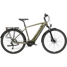 KROSS »E-Trekkingrad Herren Trans 5.0 28" khaki 9 Gänge« 9 Gang Shimano ALIVIO M3100 Schaltwerk Kettenschaltung Mittelmotor 250 W Pedelec,...
