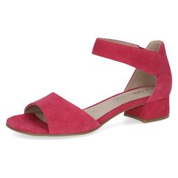 Caprice Sandalette, Blockabsatz, Sommerschuh, Sandale mit praktischem Klettverschluss pink 42 42 Sandalette in bequemer Schuhweite