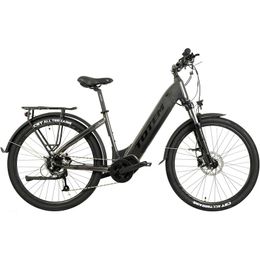 Totem »DLT-40« 9 Gang Shimano Altus Schaltwerk Kettenschaltung Mittelmotor 250 W Pedelec, Elektrofahrrad für Herren Anthrazit+schwarz