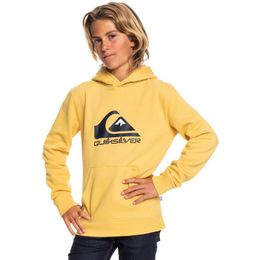 Quiksilver Kapuzensweatshirt &raquo;Big Logo&laquo; Rattan 14(155-164cm) 14(155-164cm) Stoff: Mischgewebe aus Baumwolle und Polyester