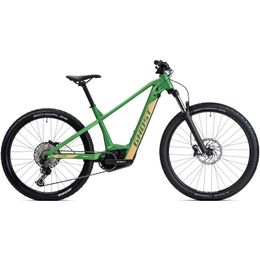 GHOST &raquo;E-Teru B Advanced&laquo; 12 Gang Shimano SLX RD-M7100 Schaltwerk Kettenschaltung Mittelmotor 250 W Pedelec, Elektrofahrrad f&uuml;r Damen u. Herren,...