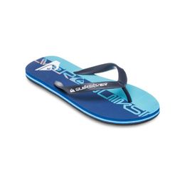 Quiksilver Herren Sandale &raquo;Molokai Art 25&laquo; blau 6(39)