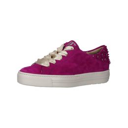 Paul Green Sneaker »Sneaker Samt« Fuchsia 42 42 Verschluss: Schnürung