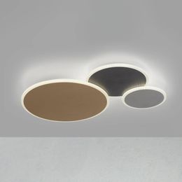 Q-SMART-HOME Paul Neuhaus Q-Piato LED-Deckenleuchte dreiflammig