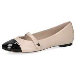 Riemchenballerina Caprice, Damen, Gr. 37,5, beige (beige, schwarz), Glattleder, Lackleder, Schuhe, Bequemschuh, Businessschuh, Flats mit Klettverschluss-Riemchen