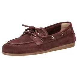 Bootsschuh Pavement "Pavement Halbschuhe Veloursleder", Damen, Gr. 39, rot (bordeaux), Veloursleder, Schuhe