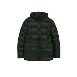 Polo Club Winter Coat male Green size M