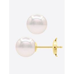 Ateliers Saint Germain Earrings 'MIYAZAKI' female Yellow size One Size