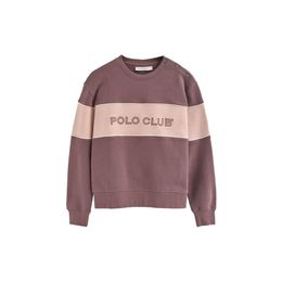 Polo Club Sweatshirt female Brown size XXL