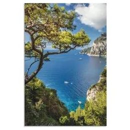 Wandbild Artland "Punta de Masullo, Insel Capri, Italien", blau (farbe bild(er): blau), B:80cm H:120cm, Bilder, als Alubild, Outdoorbild, Leinwandbild, Poster, Wandaufkleber