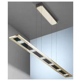 Evotec LED Pendelleuchte "DESIGNLINE", Energieeffizienz: E (A-G), grau (nickelfarben), 6, H: 1,1cm, Leuchten, LED Hängelampe, LED Hängeleuchte, Farbwechsel